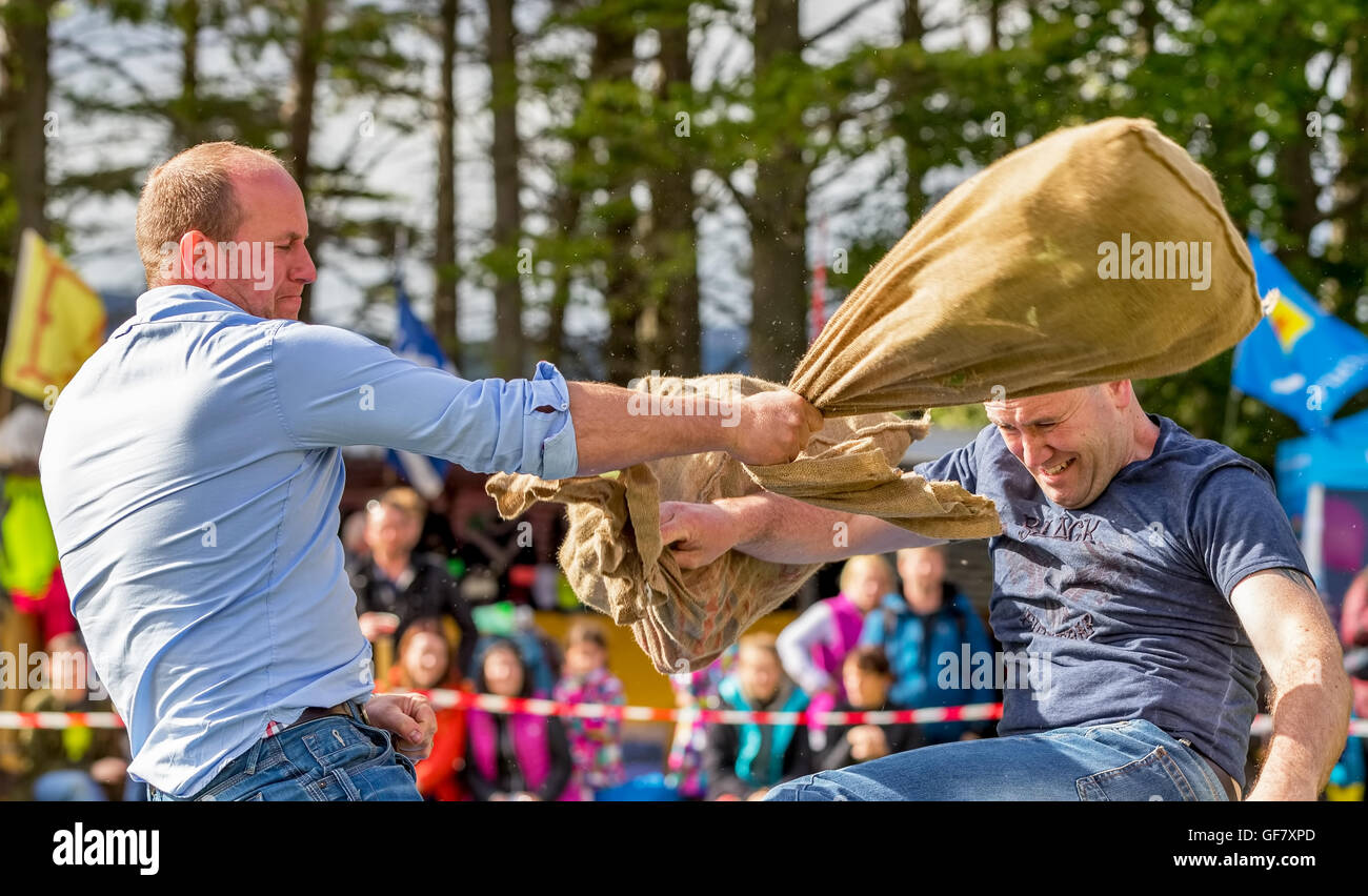 Tomintoul, Moray, Scotland, 16th July 2016. This is the pillow fight ...
