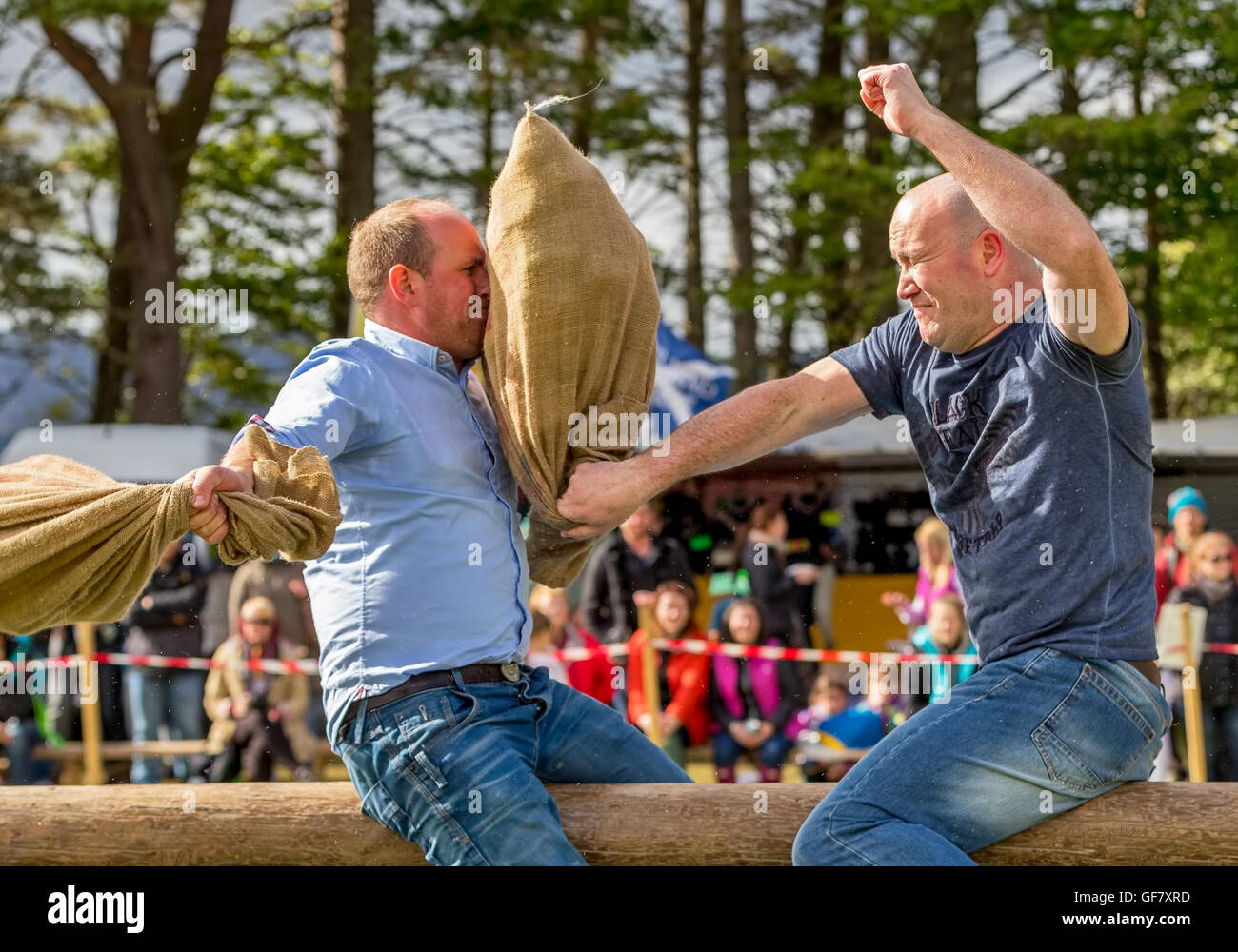 Tomintoul, Moray, Scotland, 16th July 2016. This is the pillow fight ...