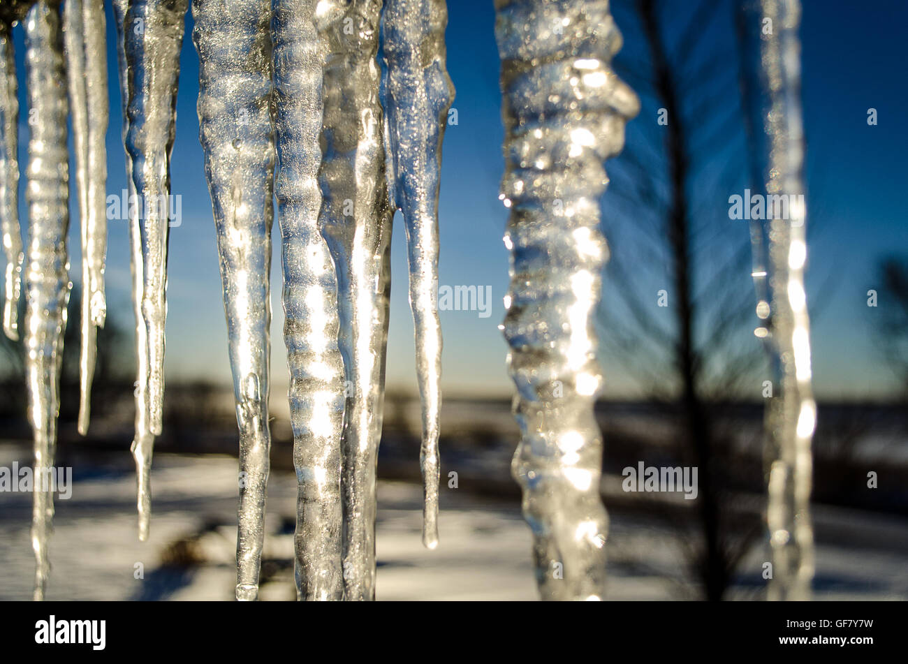 Icicles winter wonderland hi-res stock photography and images - Alamy