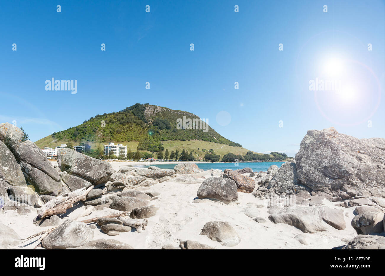 Moturiki island new zealand hi-res stock photography and images - Alamy