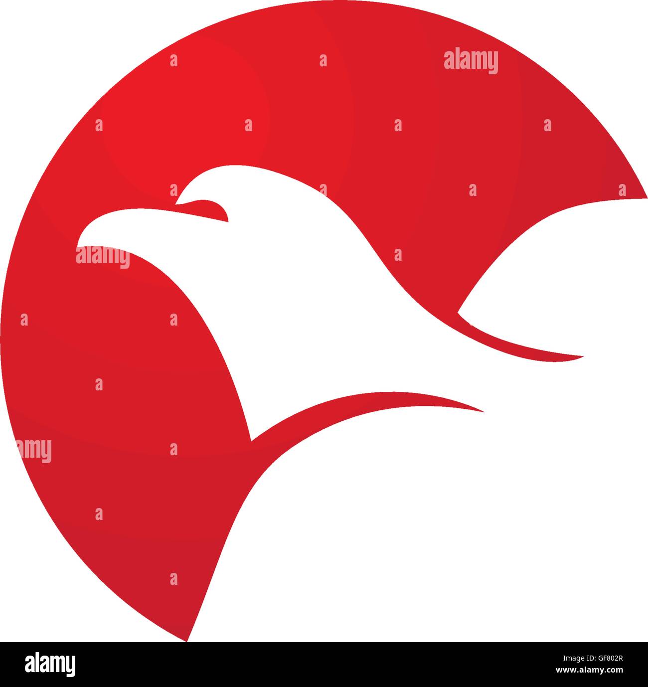 Falcon Logo Template Stock Vector Image & Art - Alamy