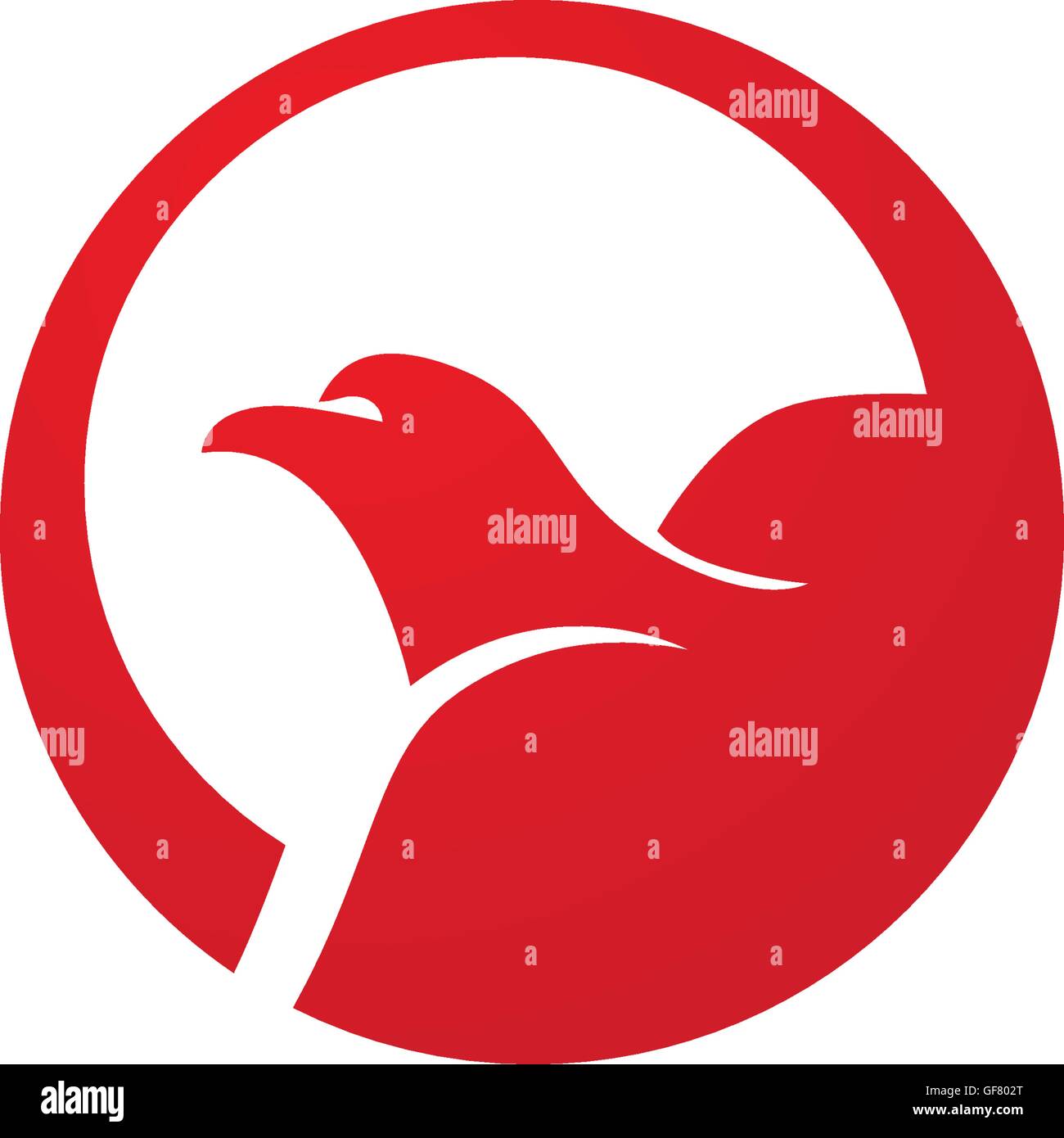 Falcon Logo Template Stock Vector Image & Art - Alamy