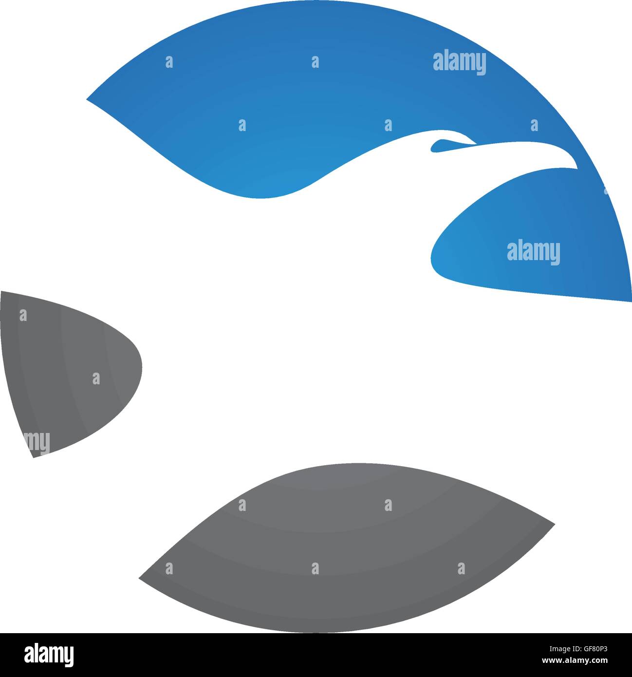 Falcon Logo Template Stock Vector Image & Art - Alamy