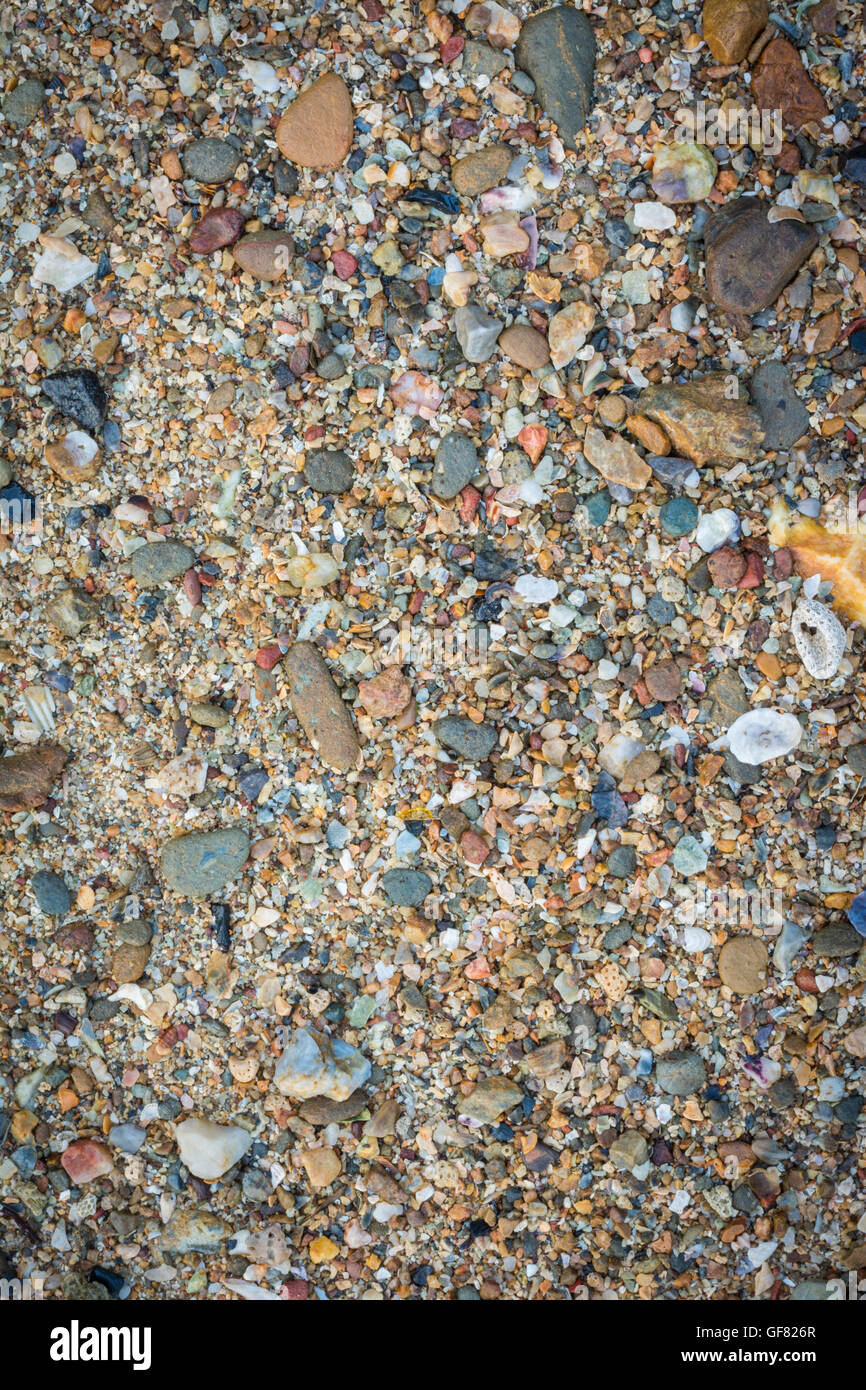 Abstract group of Shell texture background Stock Photo - Alamy