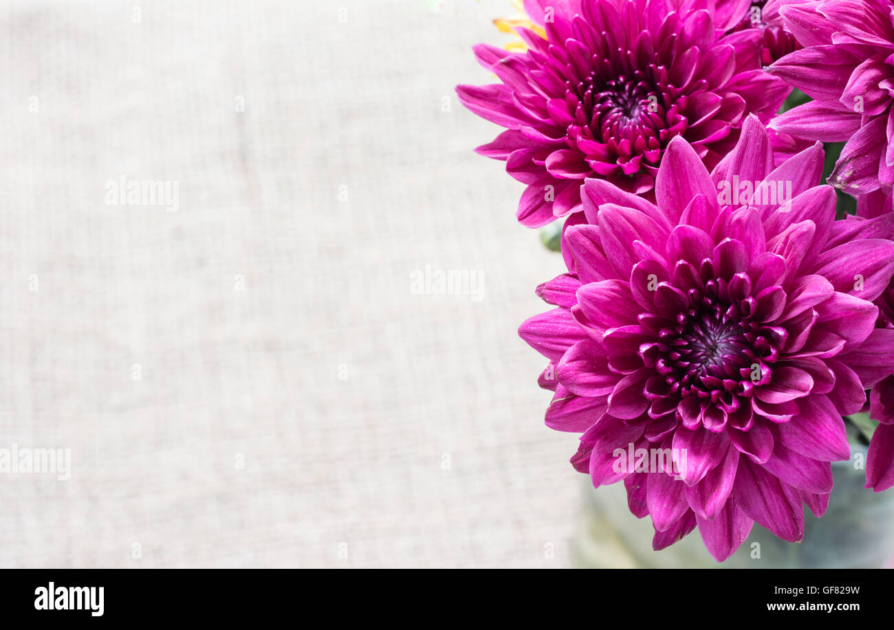 Group of colorful flower on sack background Stock Photo - Alamy