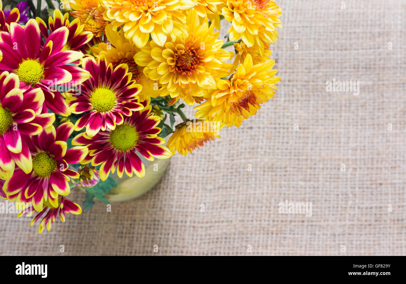 Group of colorful flower on sack background Stock Photo - Alamy