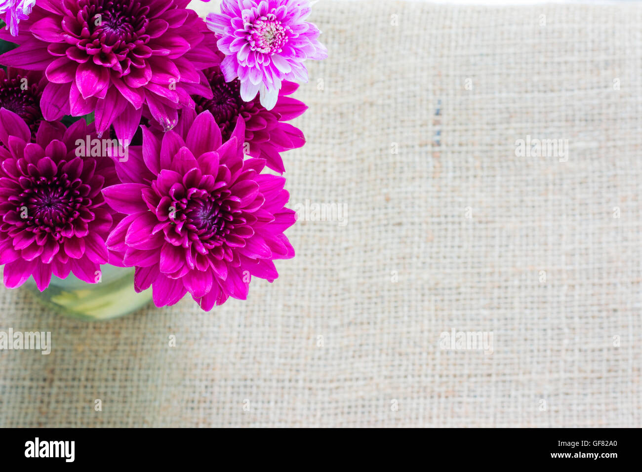 Group of colorful flower on sack background Stock Photo - Alamy
