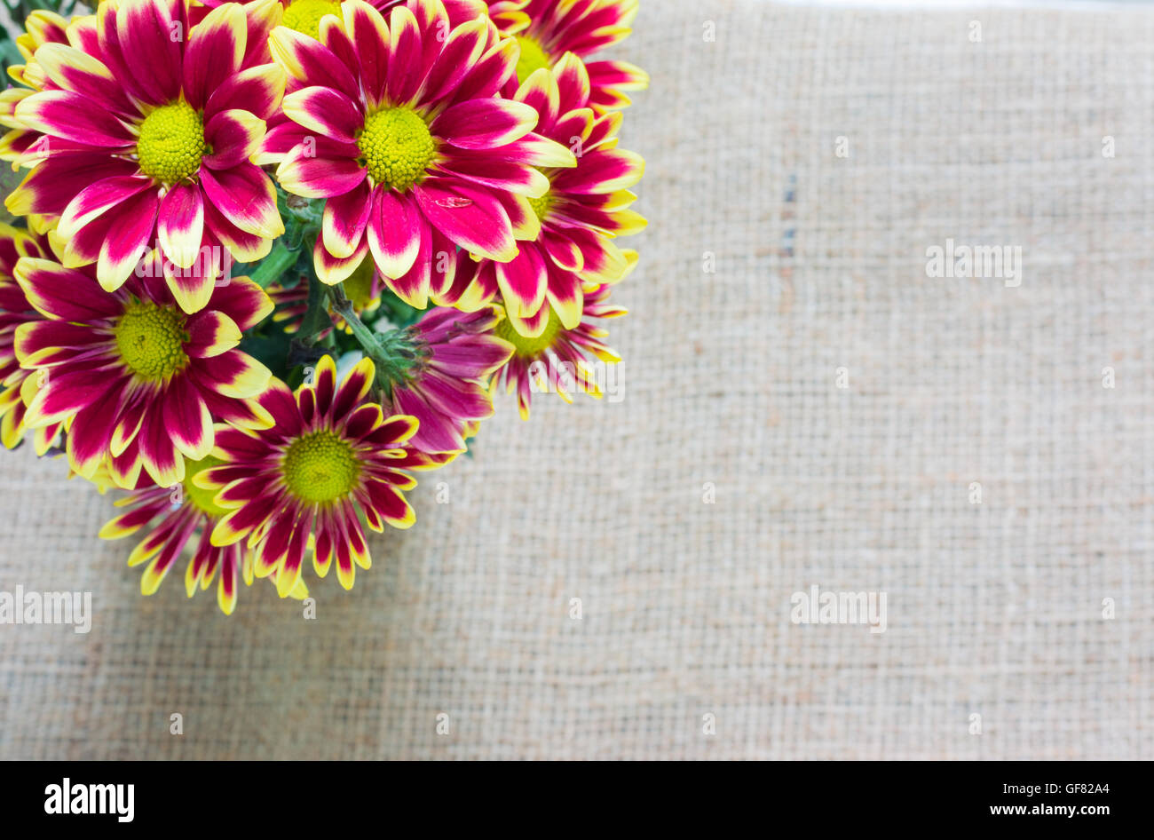 Group of colorful flower on sack background Stock Photo - Alamy