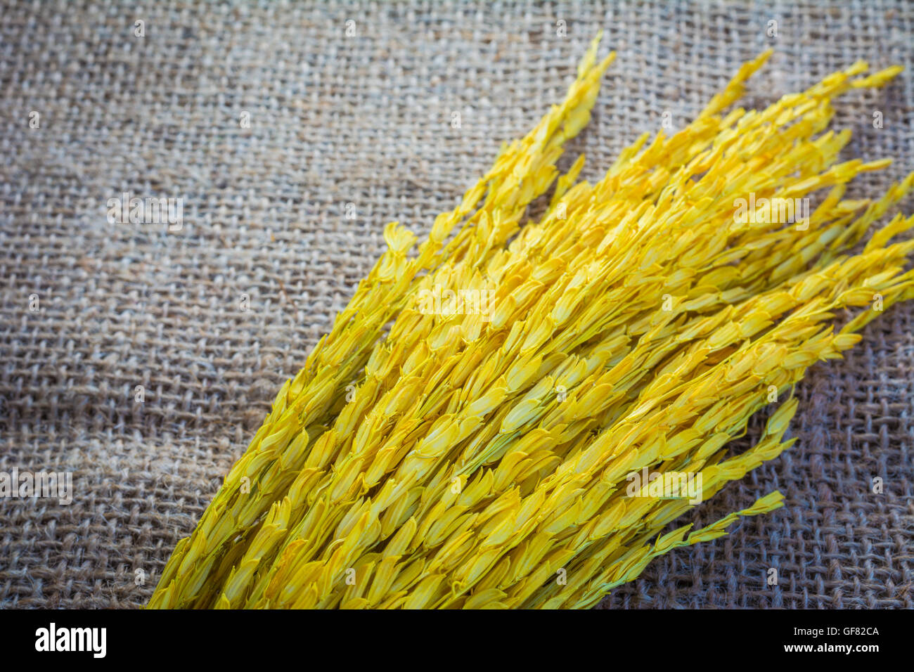 yellow rice with sack or tablecloth background Stock Photo - Alamy
