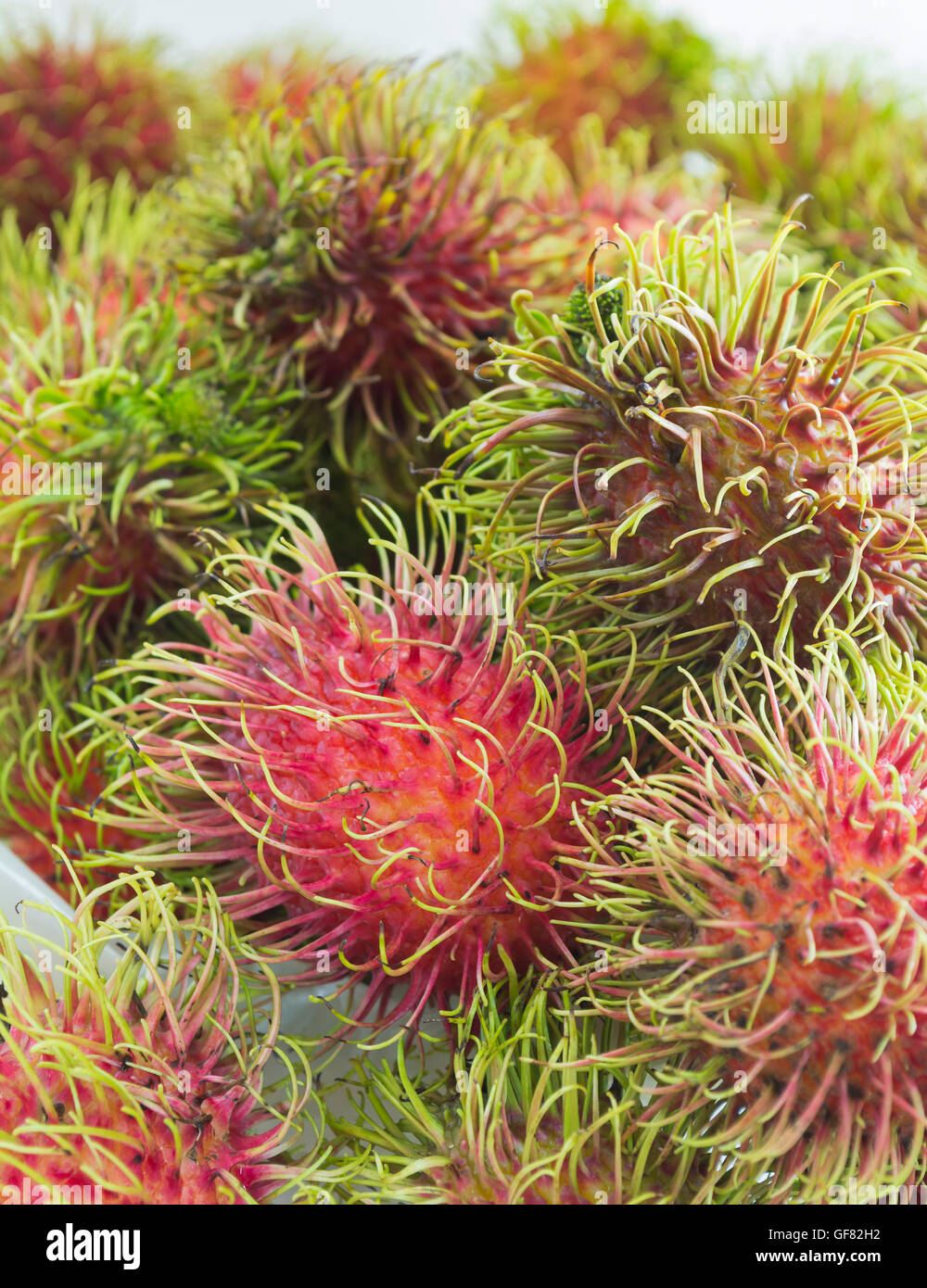 Rambutan Fruit with plastic bag on white background Stock Photo - Alamy