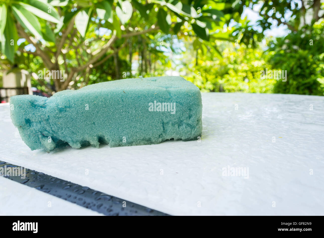 Aqua Sponge cleaning car wash Stock Photo - Alamy