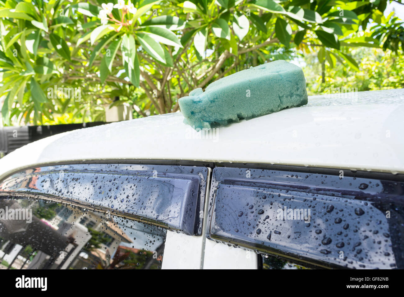 Aqua Sponge cleaning car wash Stock Photo - Alamy