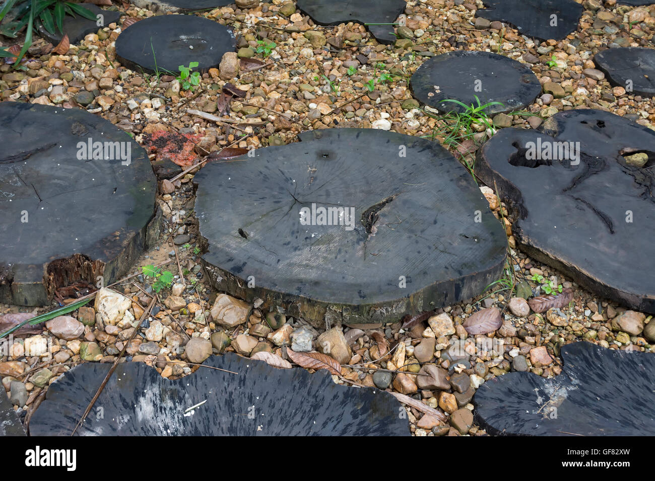 Road in the garden or wood way into garden,texture Stock Photo - Alamy