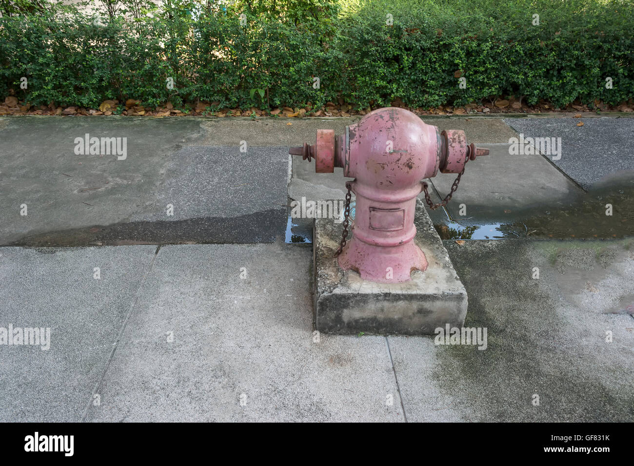 red firefighter water pip Stock Photo - Alamy
