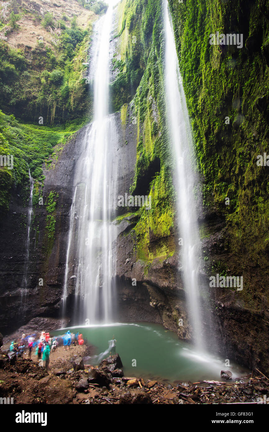 Madakaripura Waterfall-Deep Forest Waterfall in East Java, Indonesia ...