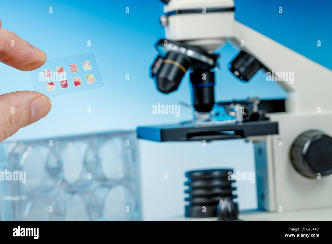 medical laboratory, scientist hands using microscope Stock Photo - Alamy