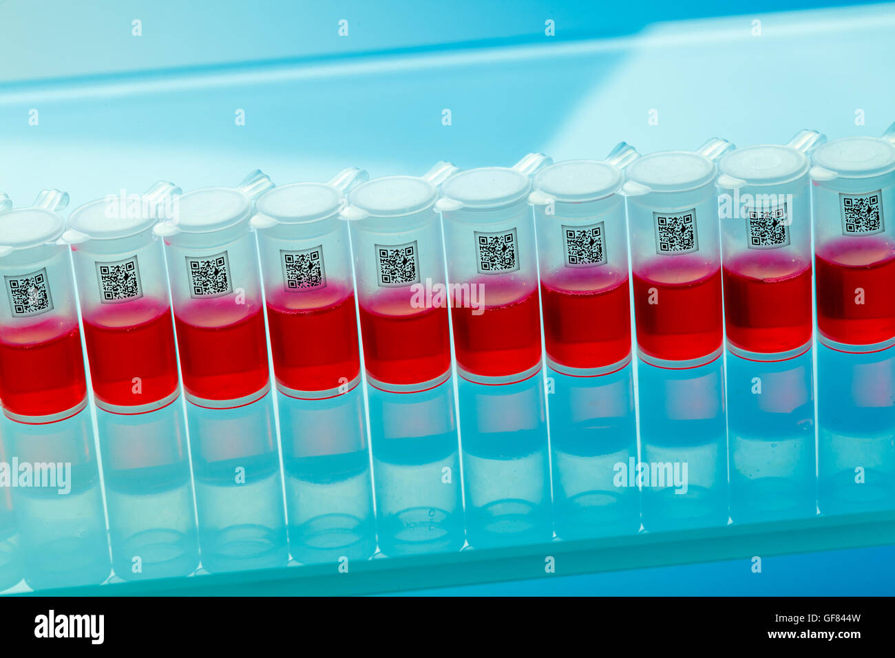 Genetic microtube inglass table Stock Photo - Alamy