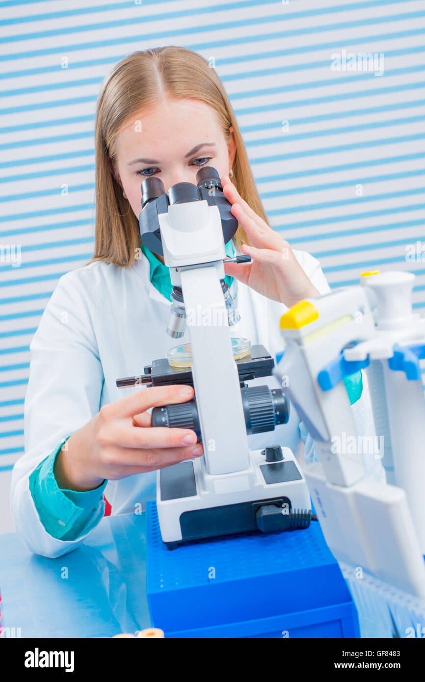 Medical worker women working with microscope in white light and a ...