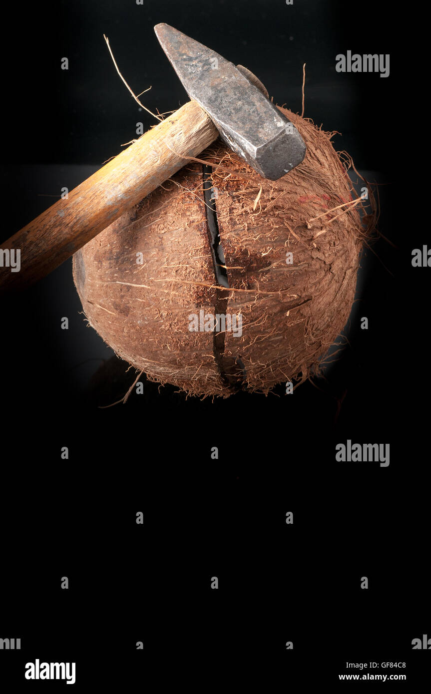Coconut broken in half with hammer Stock Photo - Alamy
