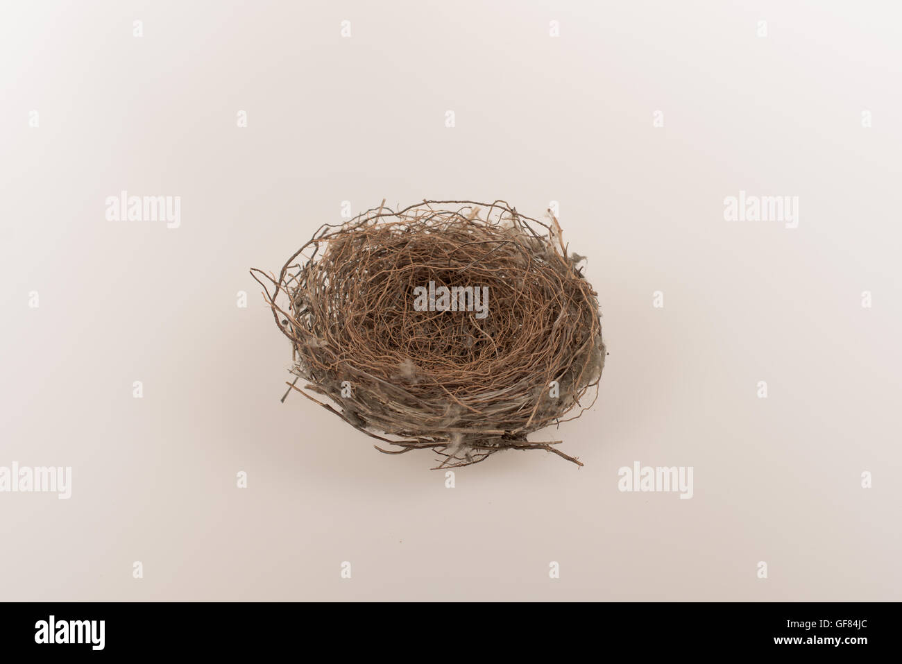Angry Birds Empty Nest