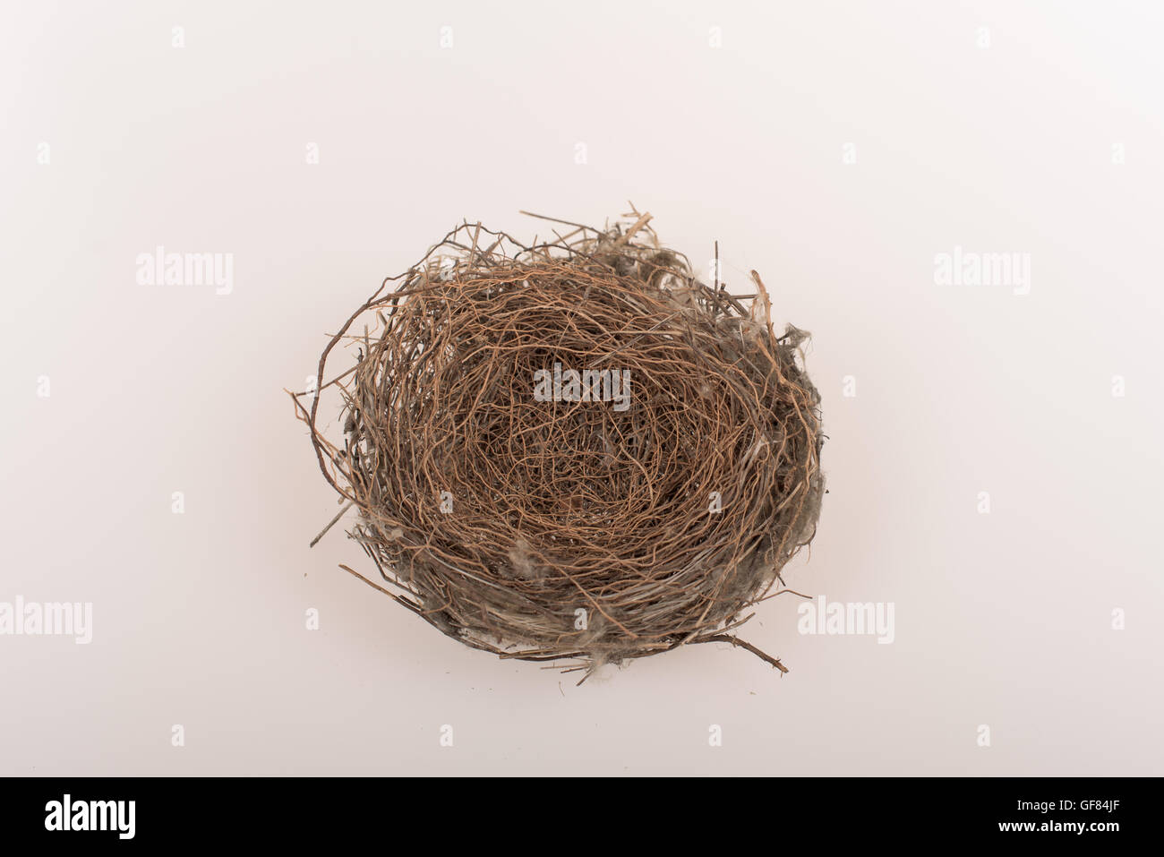 Empty Nest High Resolution Stock Photography and Images - Alamy