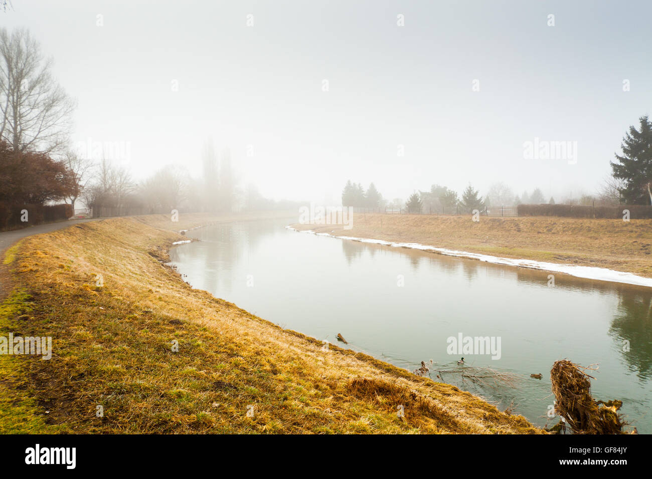 Summer fog at the river hi-res stock photography and images - Alamy