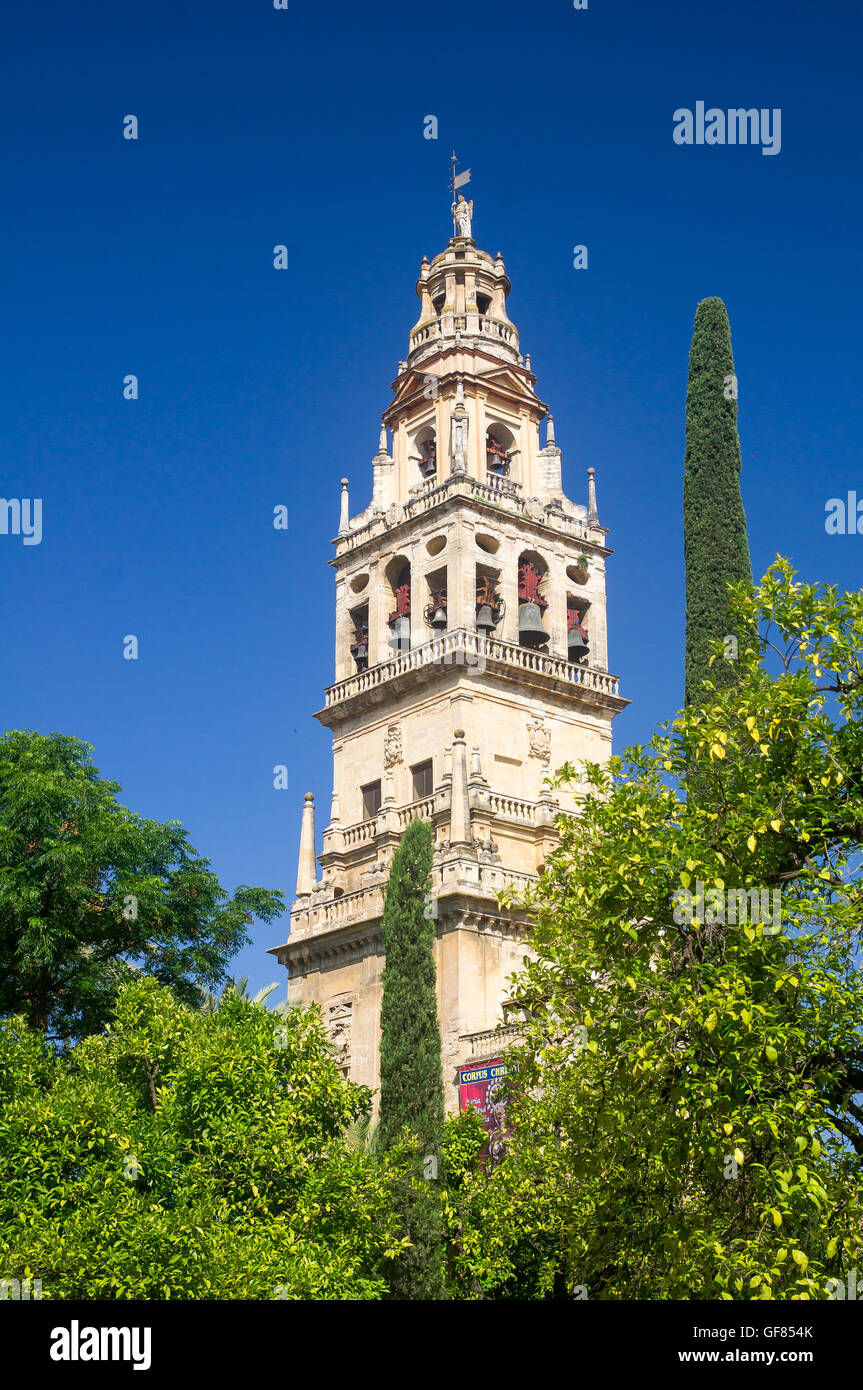 Cordoba's Bell Tower Stock Photo - Alamy