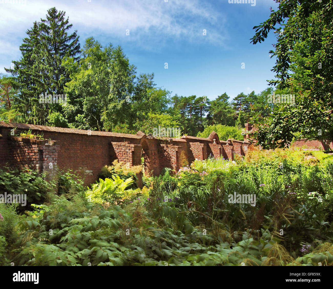 overgrowth in an unkempt garden Stock Photo - Alamy
