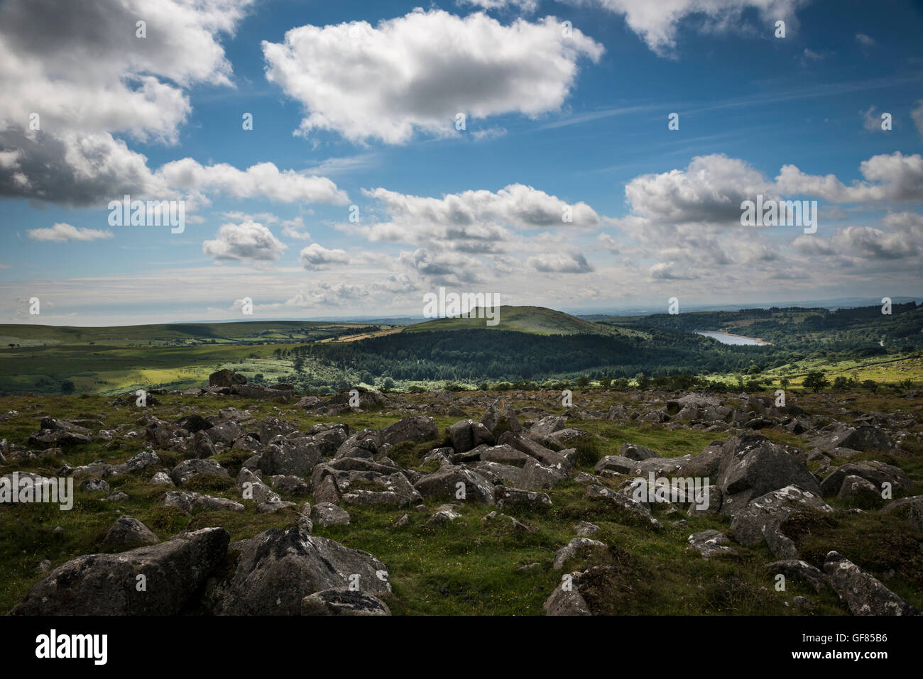 The view from Down Tor to Burrator Reservoir on Dartmoor, Devon, UK ...