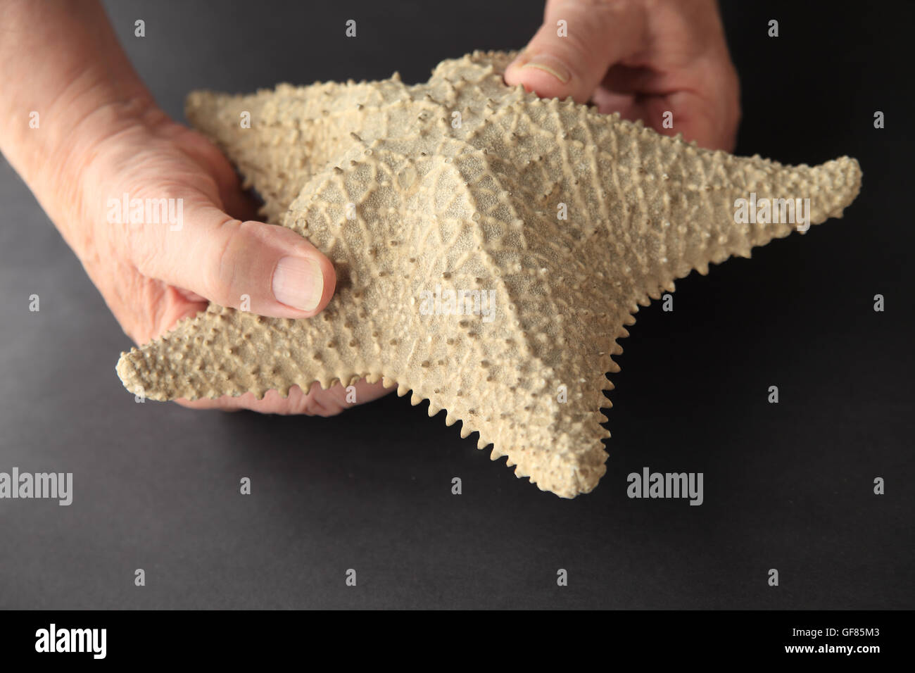 A man with a large seashell on a black background Stock Photo - Alamy