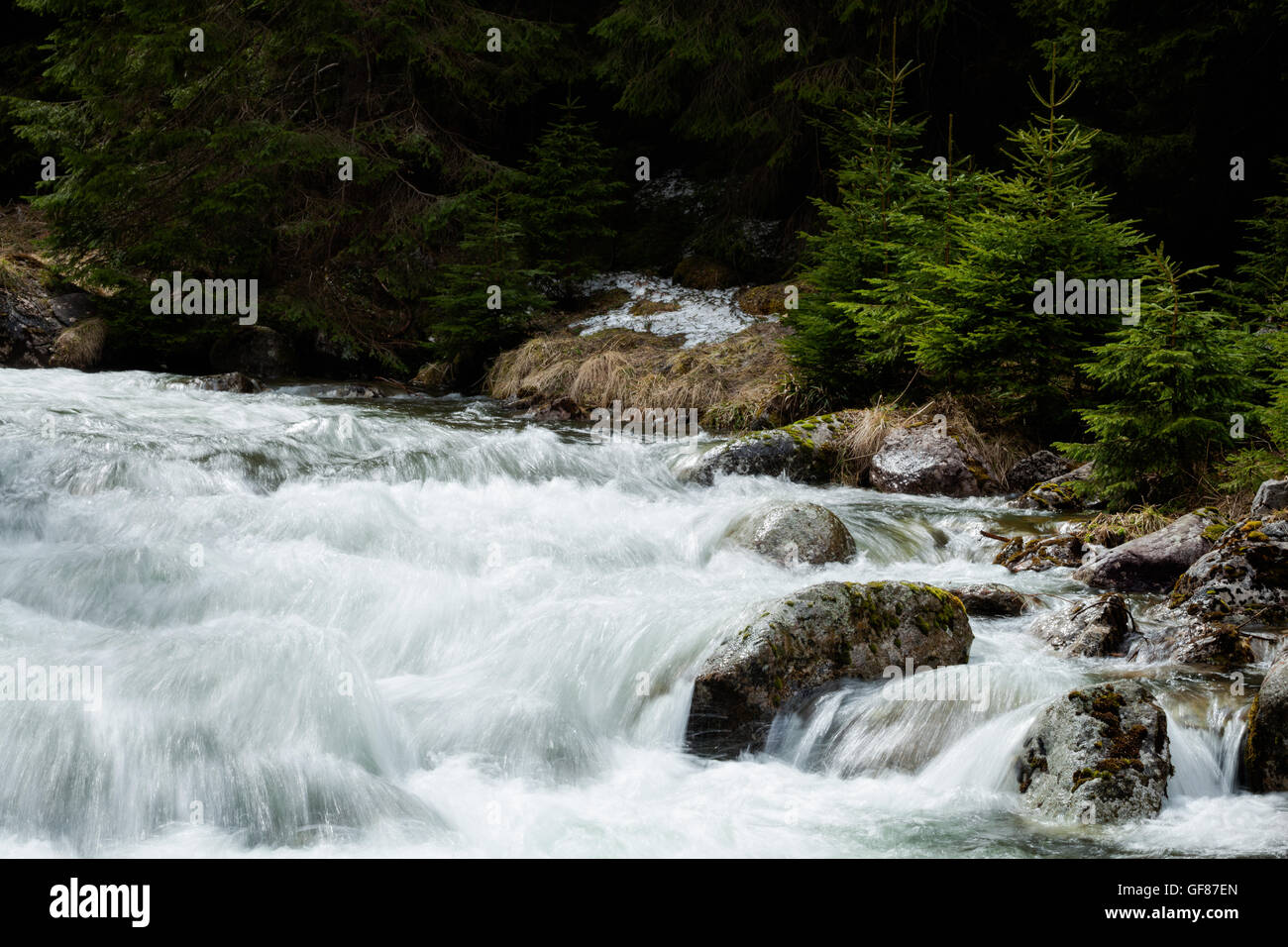 Beautiful waterfall in Tatry woods, Dolina Chocholowska Stock Photo - Alamy