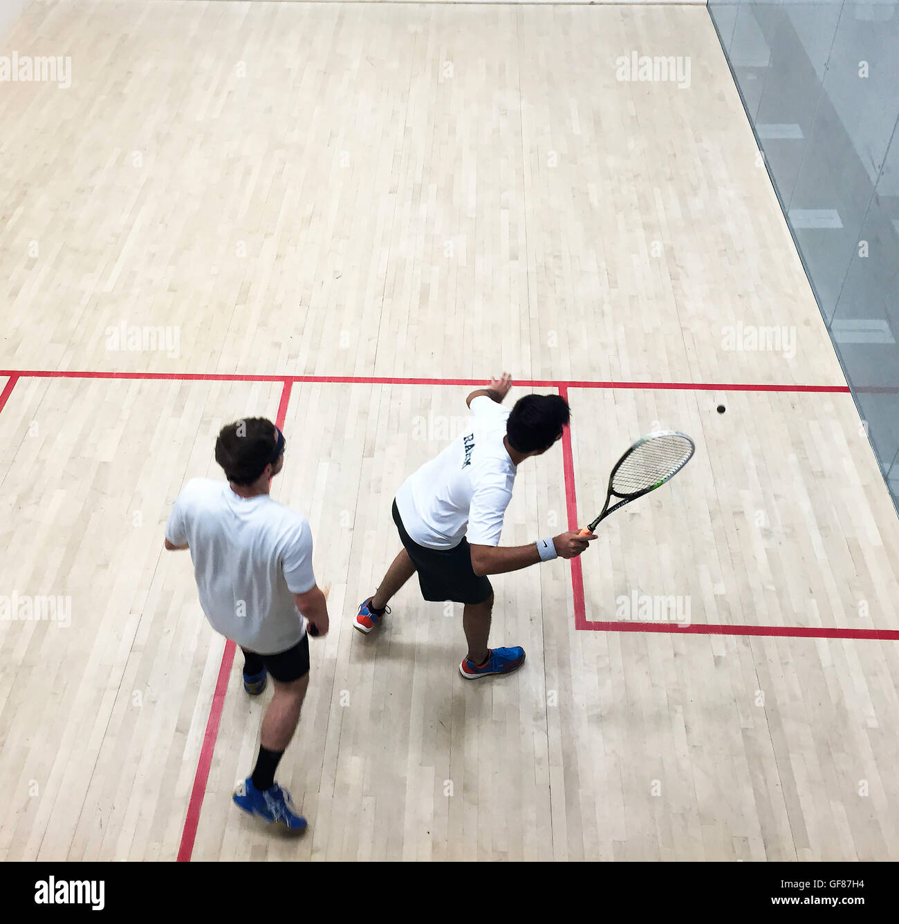 Playing squash,exercise,2 players fast moving game Stock Photo - Alamy