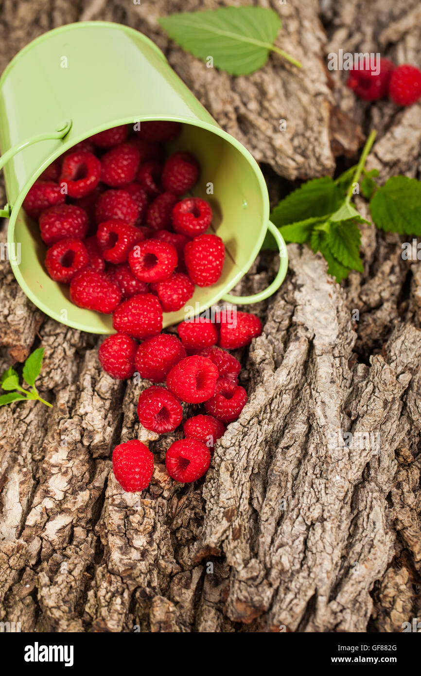 Ripe raspberry with green leaf background Stock Photo - Alamy