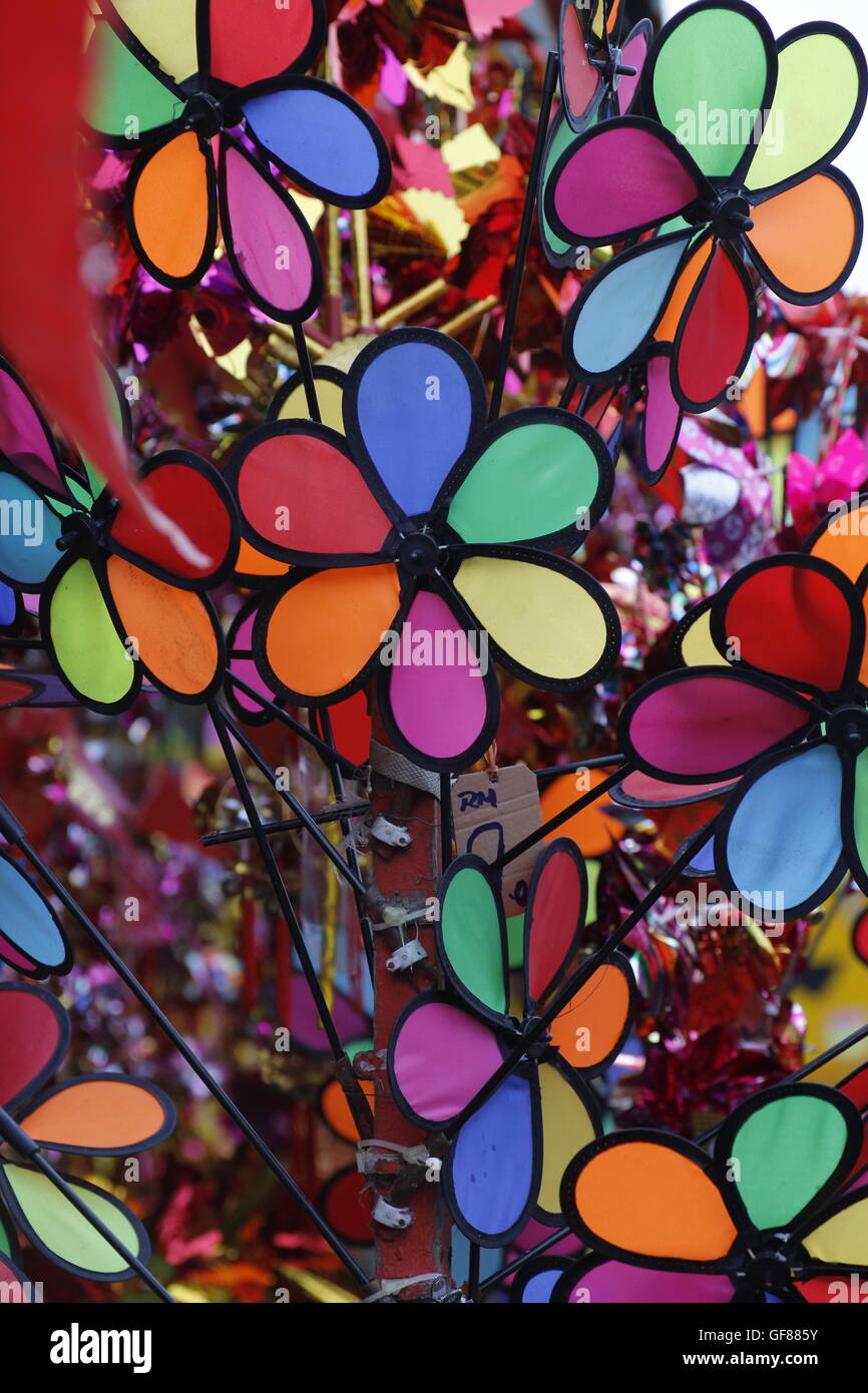 Windmill palm or chinese windmill hi-res stock photography and images ...