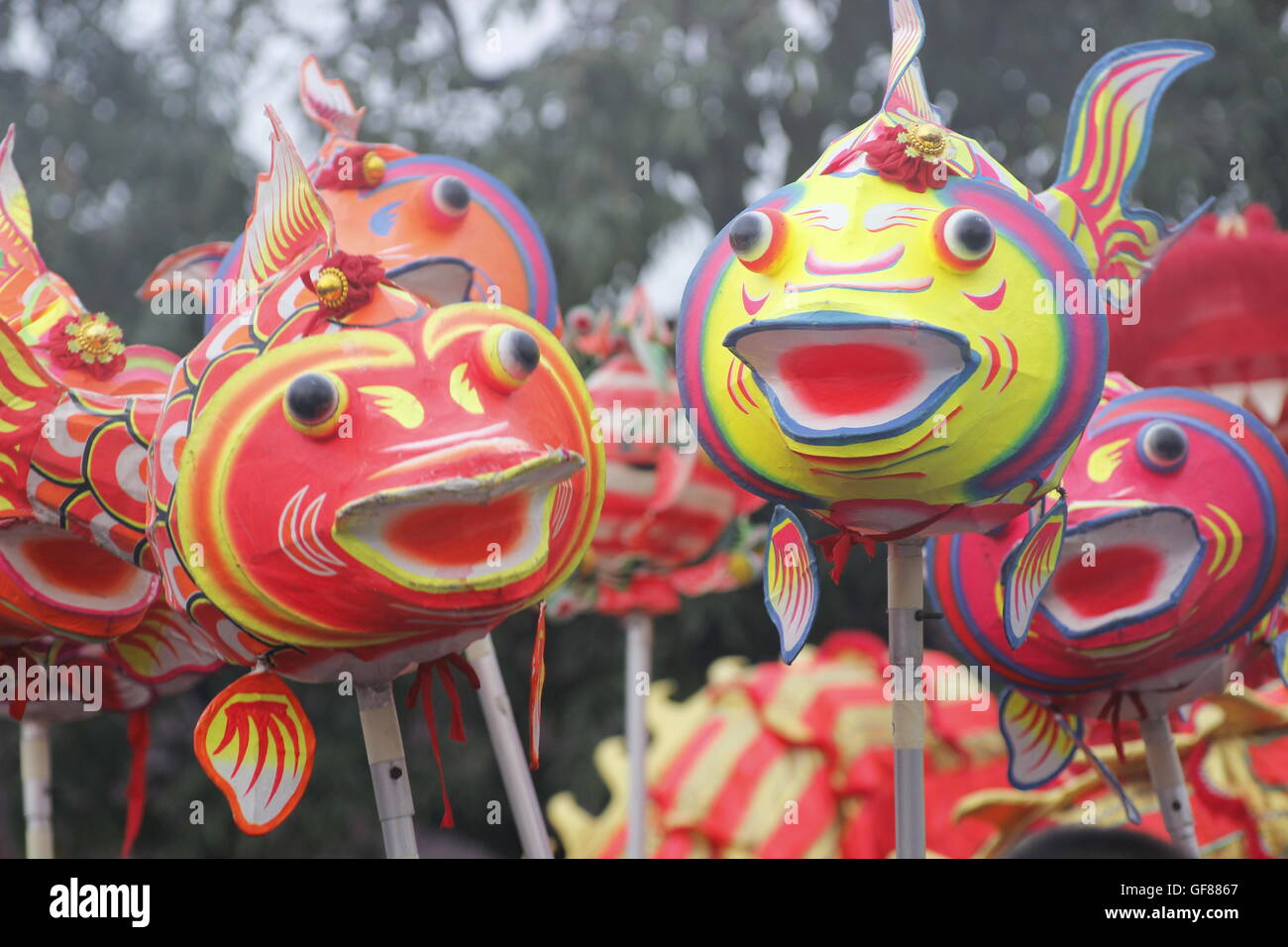 Lantern fish hi-res stock photography and images - Alamy