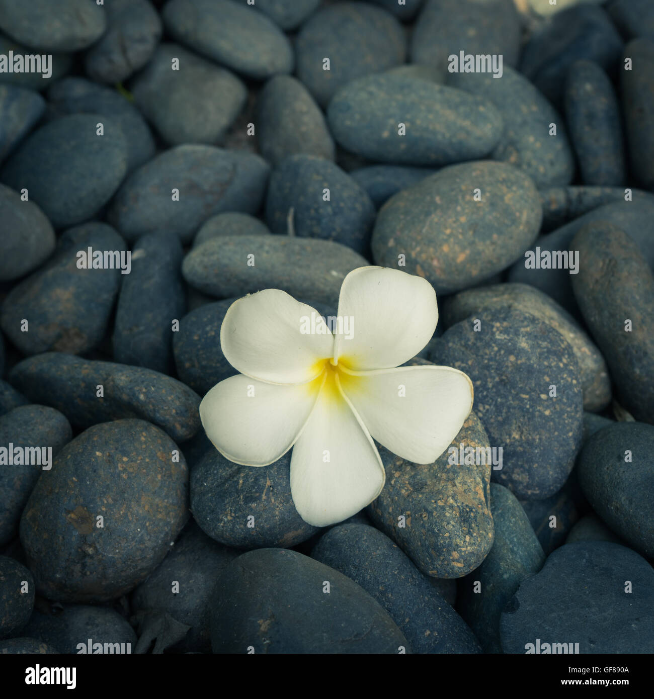 SPA set with flower and stones vintage color Stock Photo - Alamy