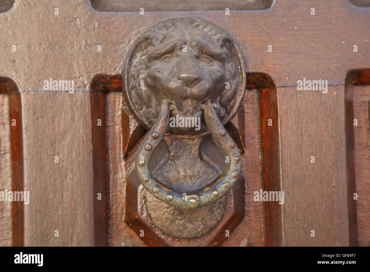 antique lion knocker from old door Stock Photo - Alamy