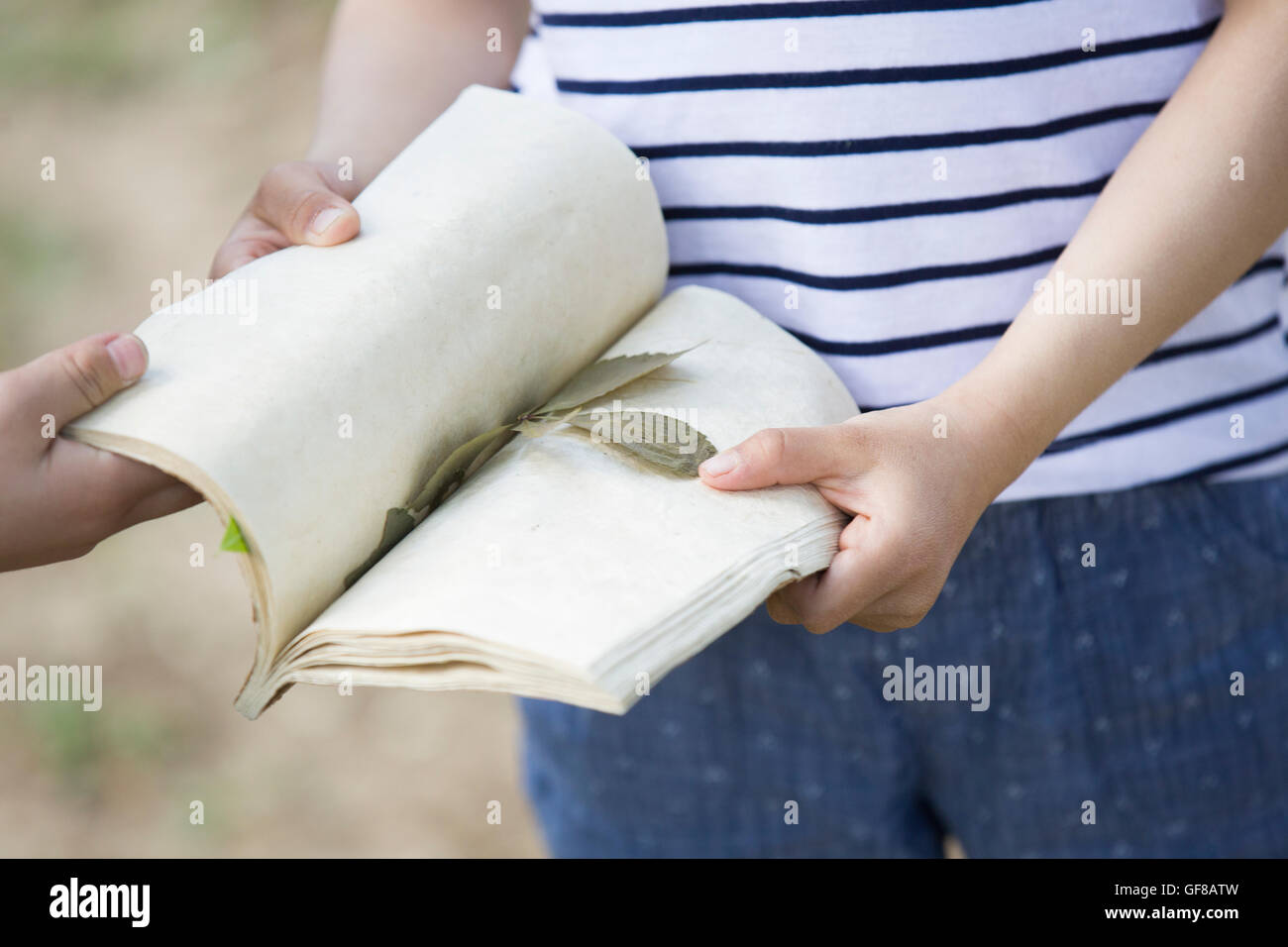 Happy Chinese children collecting sample of leaves Stock Photo - Alamy