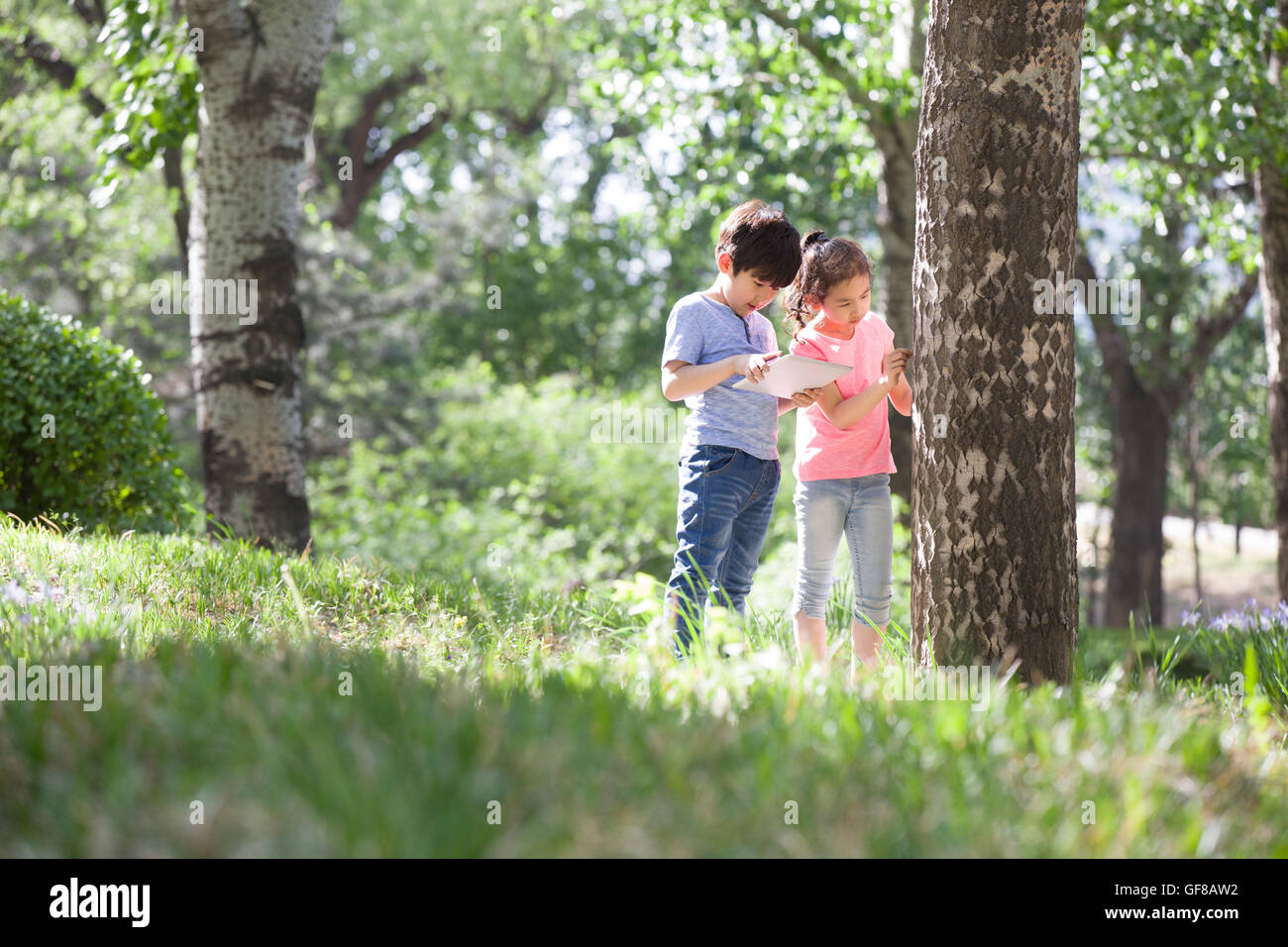 Happy Chinese children playing in woods Stock Photo - Alamy