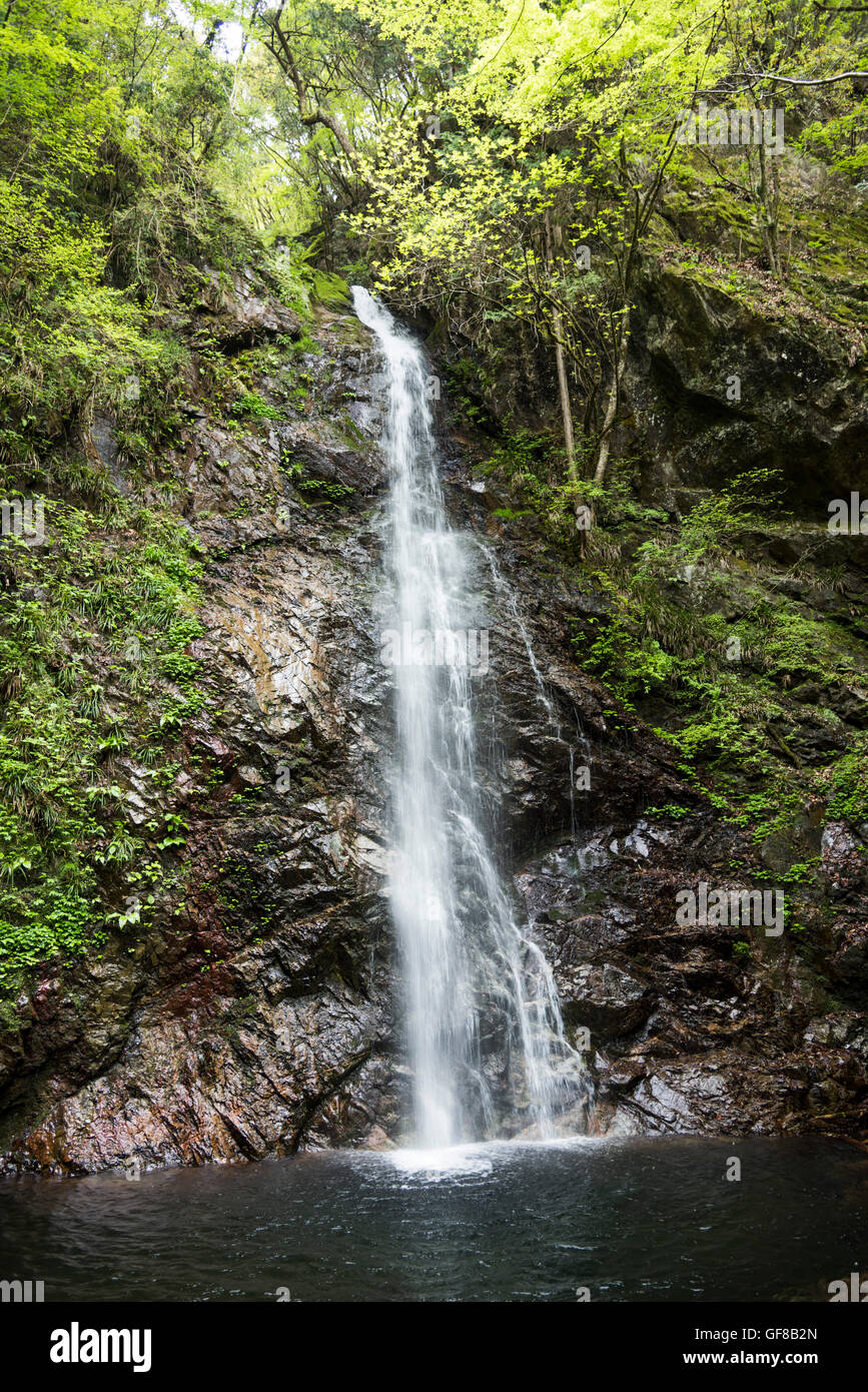 Hinohara village hi-res stock photography and images - Alamy