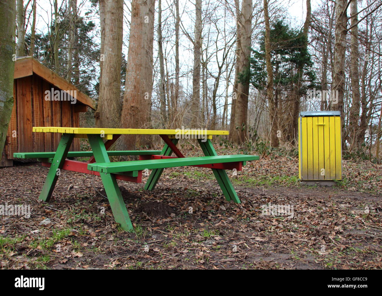 Outdoor Rest Area in Autumn Forest with Colorful Bench and Garbage Bin ...