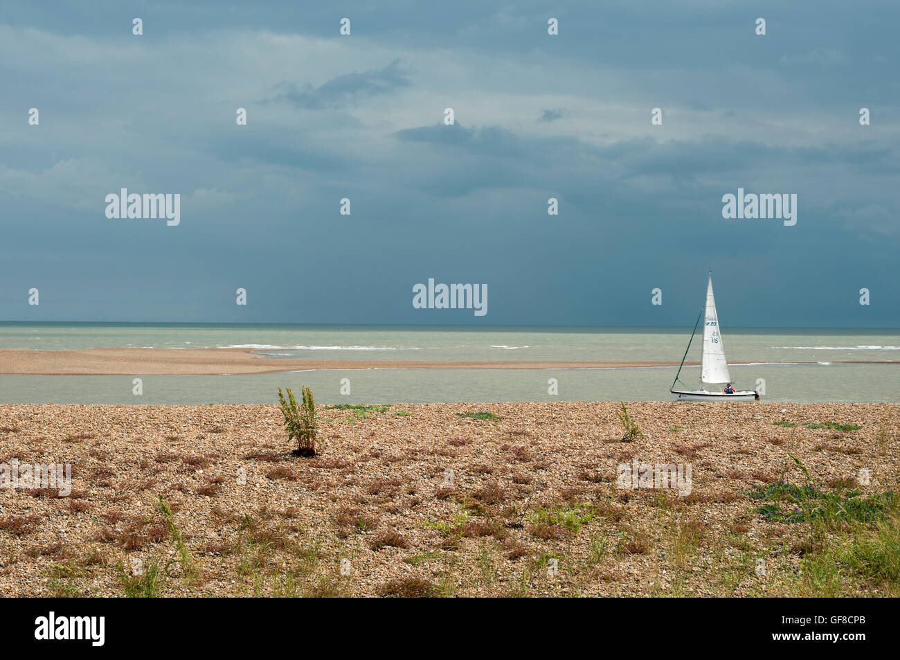Beach vegetation Shingle Street Suffolk England Stock Photo - Alamy