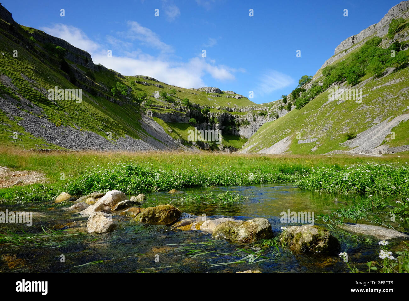 Gordale Scar limestone gorge in the Yorkshire Dales National Park ...