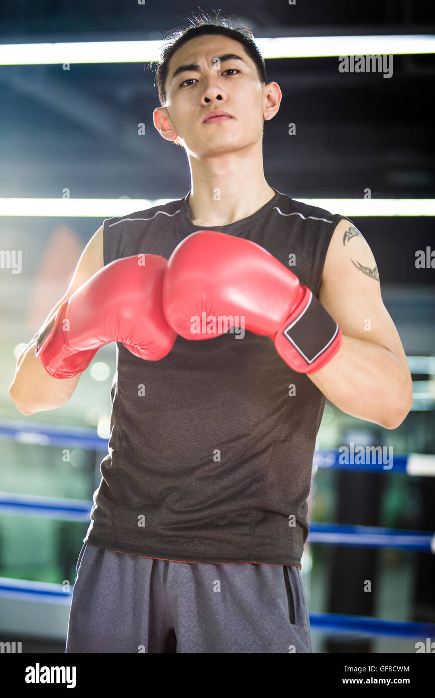 Portrait of Chinese boxer Stock Photo - Alamy