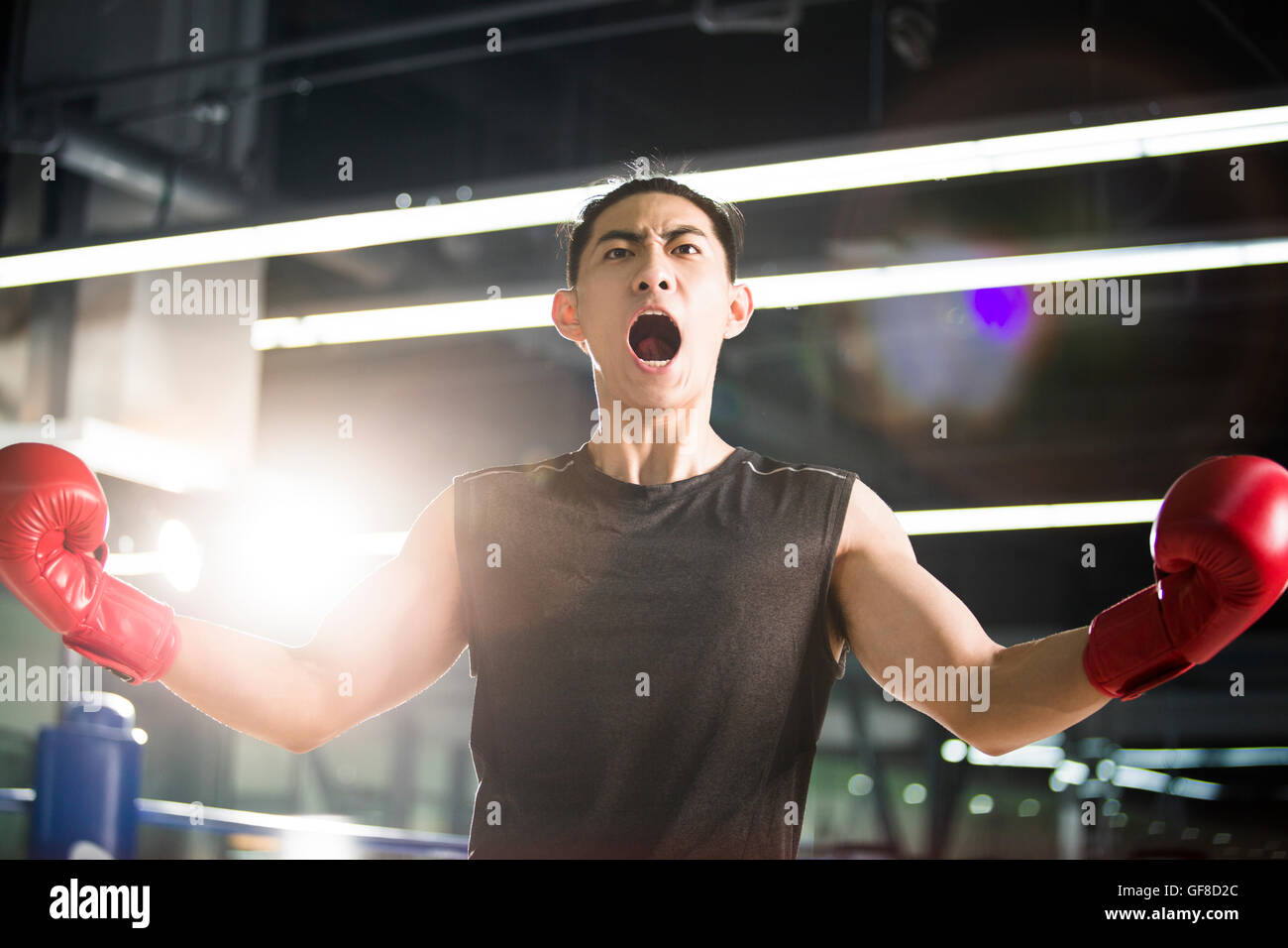 Chinese boxer cheering in boxing ring Stock Photo - Alamy