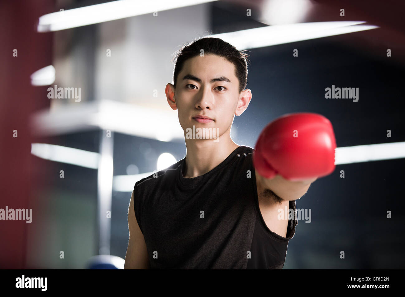 Portrait of Chinese boxer Stock Photo - Alamy