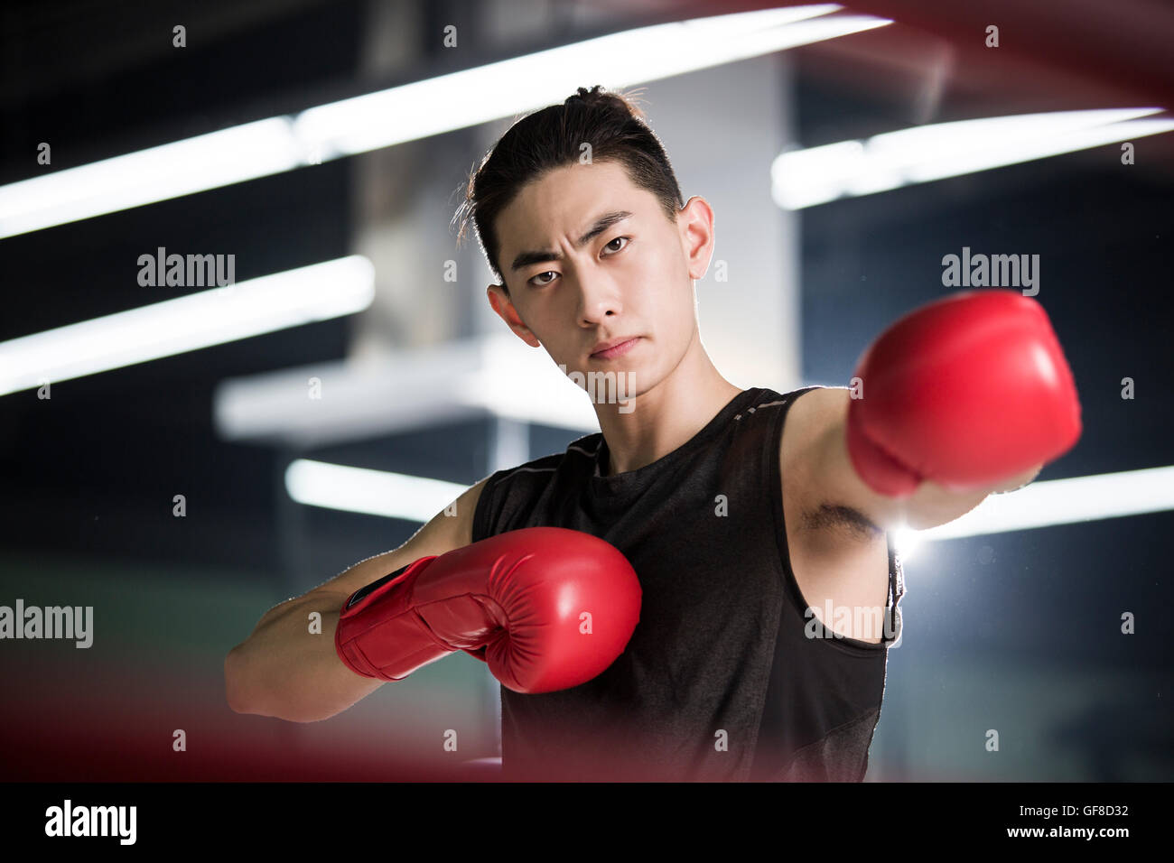 Portrait of Chinese boxer Stock Photo - Alamy