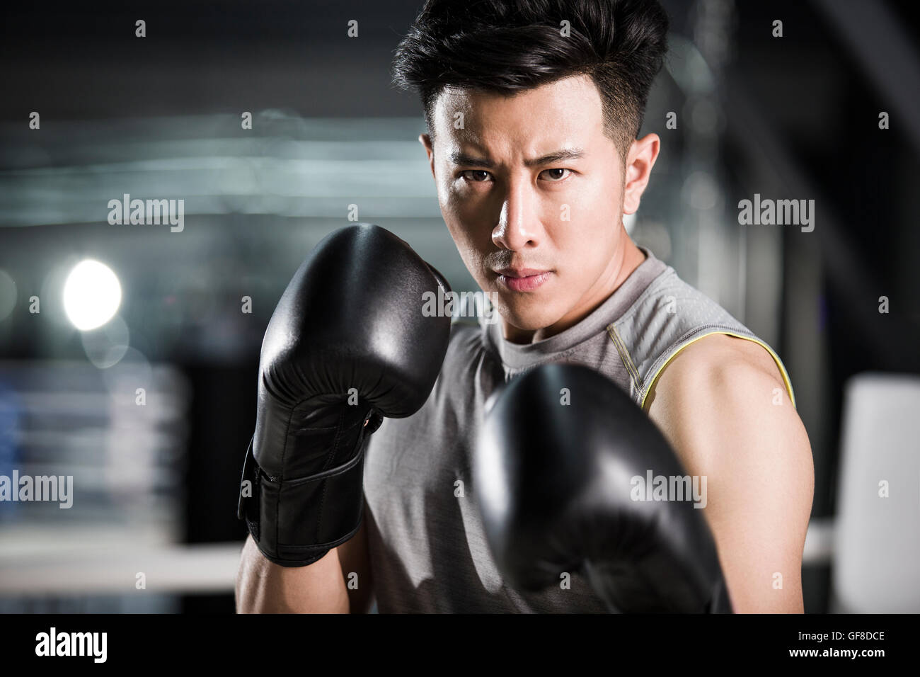 Portrait of Chinese boxer Stock Photo - Alamy