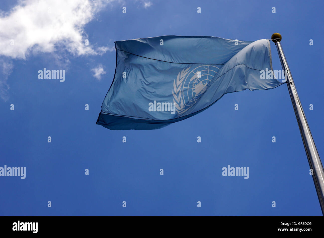 UN flag at the UN Headquarters in New York Stock Photo - Alamy