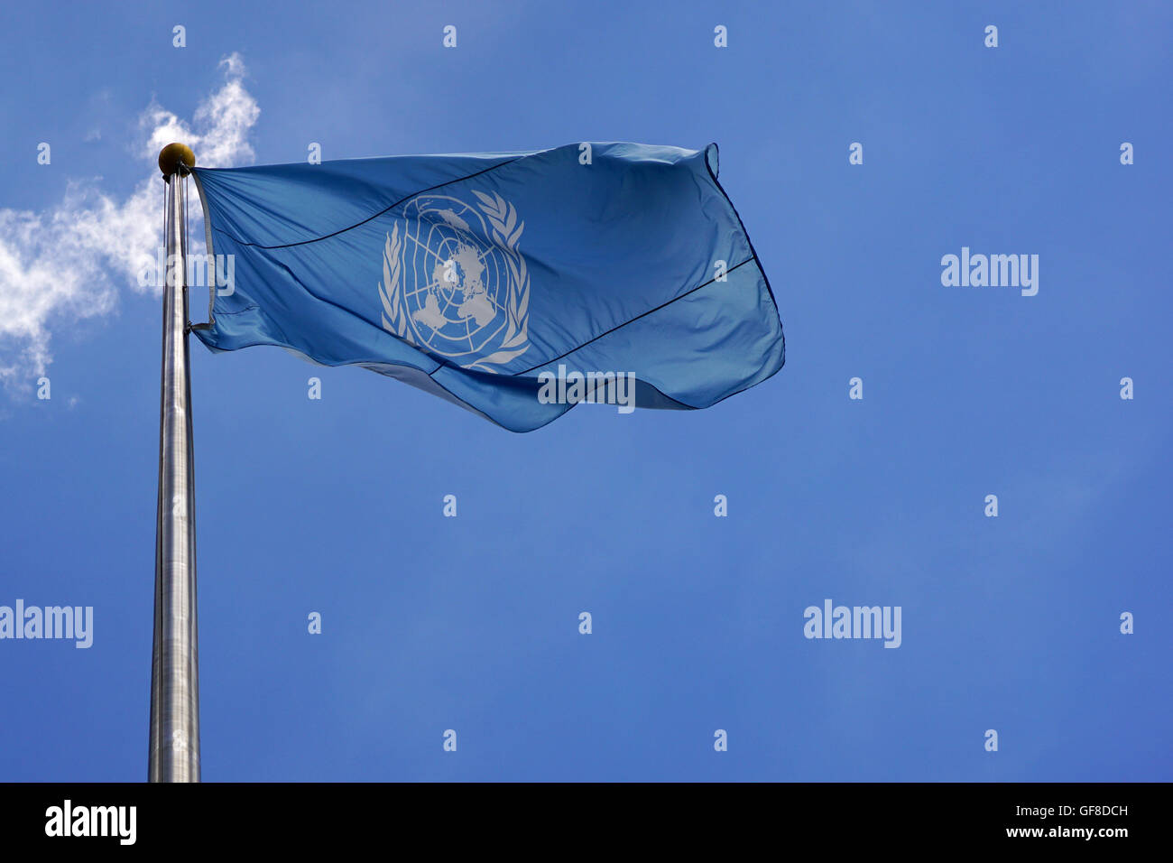 Official seal and emblem of the united nations hi-res stock photography ...